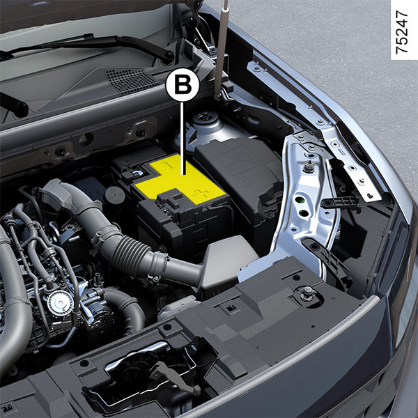 Battery | user manual